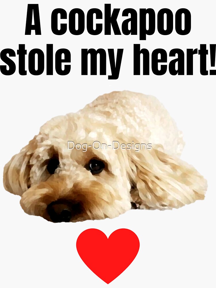 "A cockapoo stole my heart!" Sticker for Sale by Dog-On-Designs | Redbubble