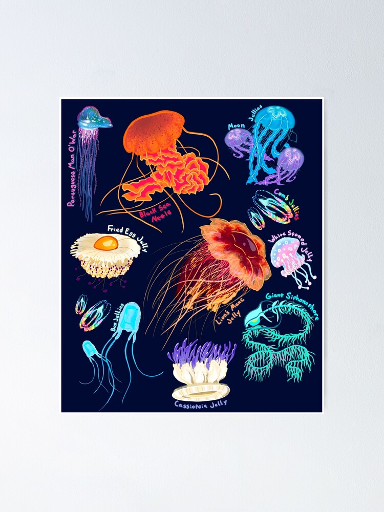 "Meet the Cnidarians" Poster for Sale by Deadbirdkitsch | Redbubble