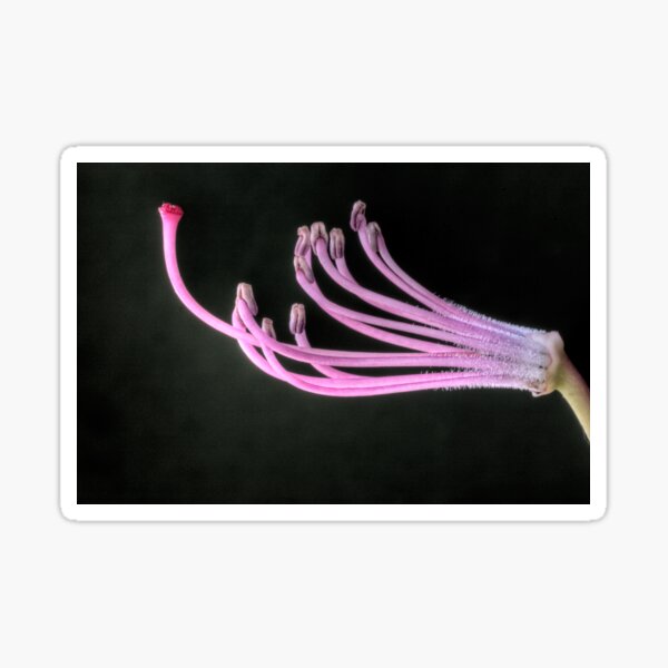 "Structure" Sticker for Sale by JohnE | Redbubble