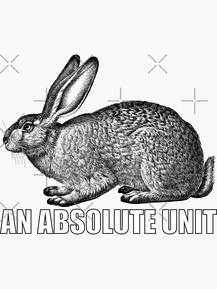 "Retro Vintage Antique Line Art Rabbit Illustration Absolute Unit Meme ...