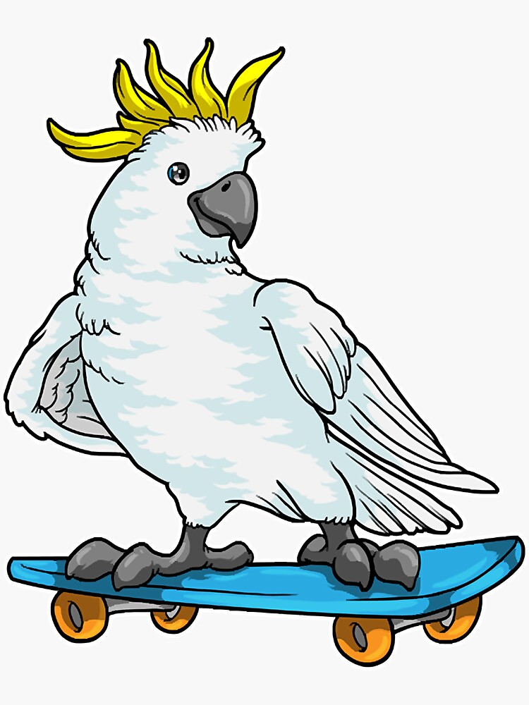 "Parrot as Skater on Skateboard " Sticker for Sale by PizzutiExcel ...