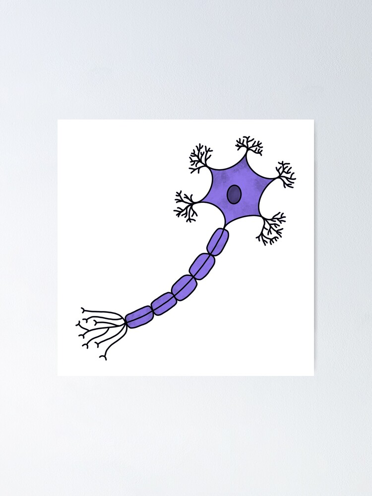 "Cute Neuron" Poster for Sale by courtsdoodles | Redbubble