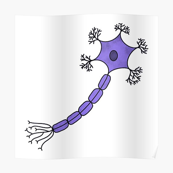 "Cute Neuron" Poster for Sale by courtsdoodles | Redbubble