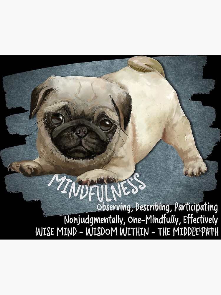 "Mindfulness, Observing, Describing, Participating, Nonjudgmentally ...