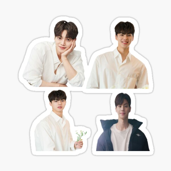 "Song kang sticker pack" Sticker for Sale by Divya21 | Redbubble