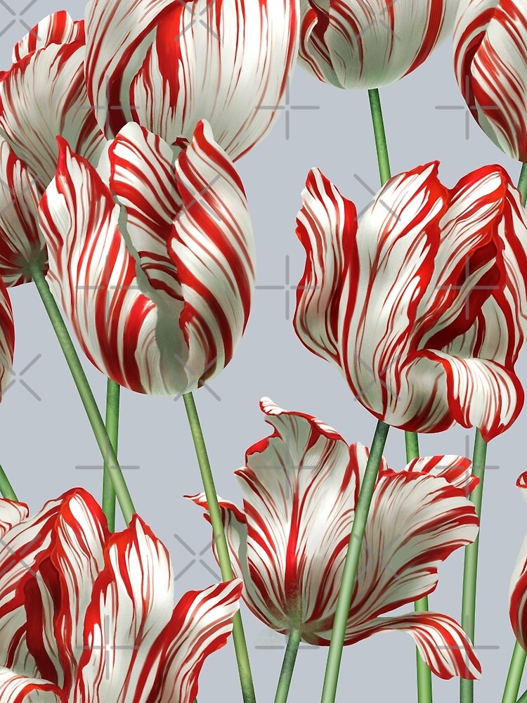 "Tulipomania - The Semper Augustus" T-shirt for Sale by ikerpazstudio ...