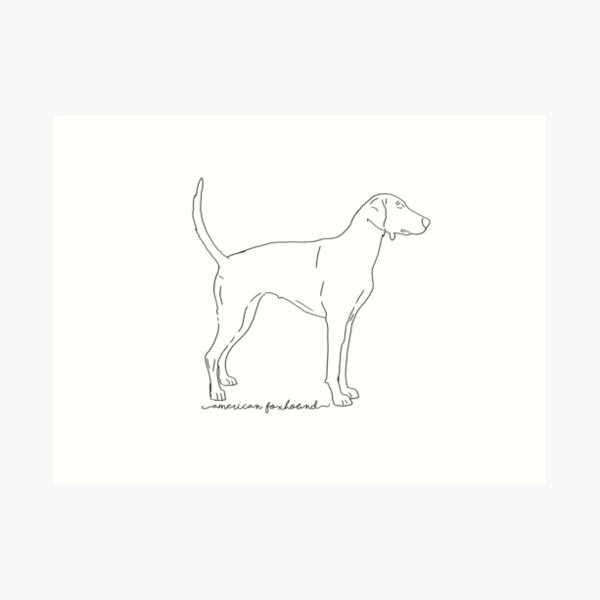 "American Foxhound sketch " Art Print by paulrommer | Redbubble