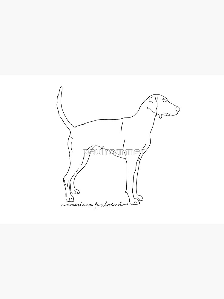 "American Foxhound sketch " Art Print by paulrommer | Redbubble
