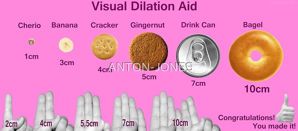 "Labour and Delivery Dilation Visual" by ANTON-JONES | Redbubble