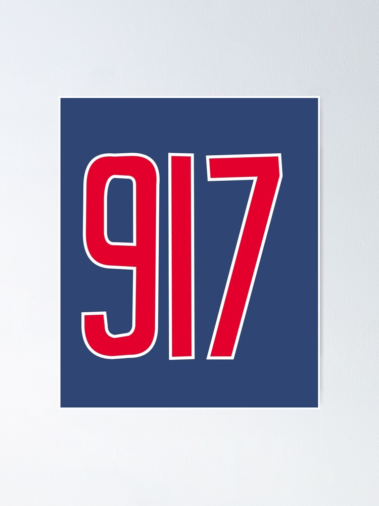 "917 Area Code Gift for Queens, Brooklyn, Bronx, and Staten Island ...