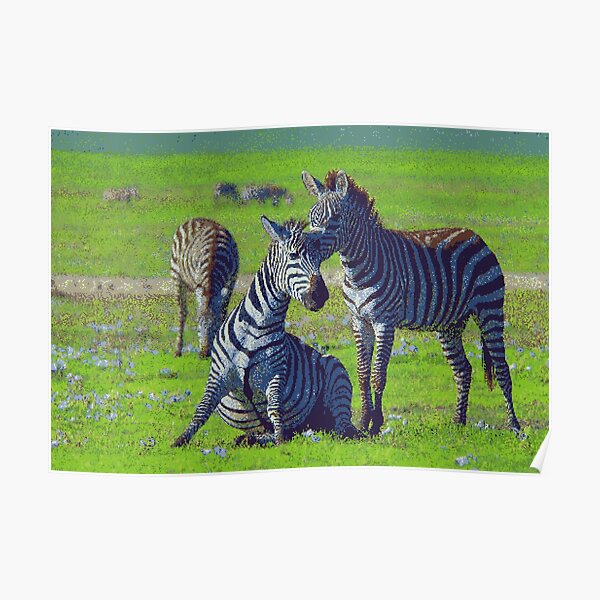 "Zebras Pixel Art" Poster by cesar514 | Redbubble