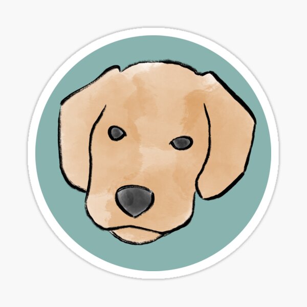 "Lab / Doodle / Cockapoo on teal background" Sticker for Sale by ...