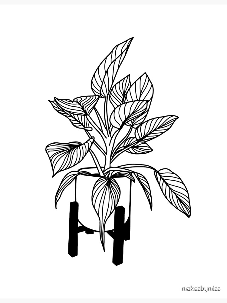 "Philodendron Birkin Houseplant Line Drawing" Poster for Sale by ...