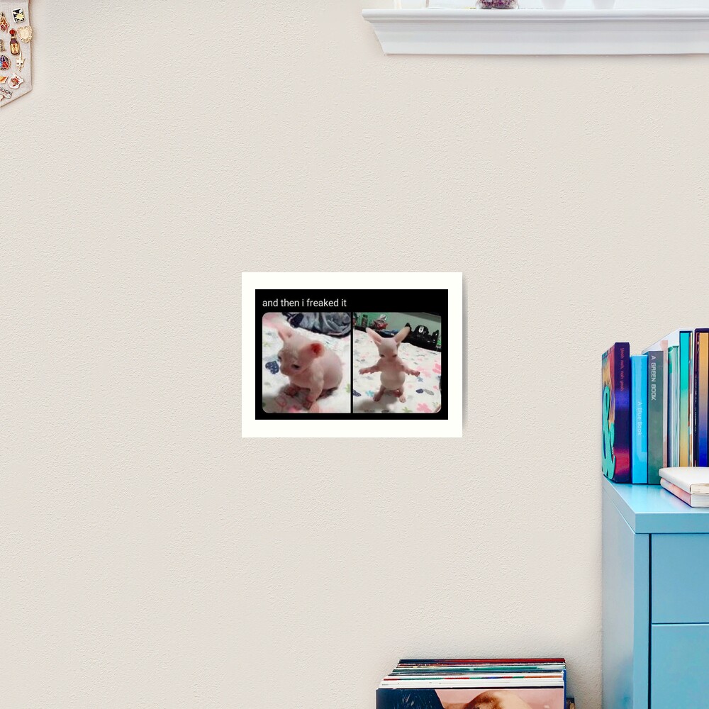 "And Then I Freaked It Meme" Sticker for Sale by vennettb | Redbubble