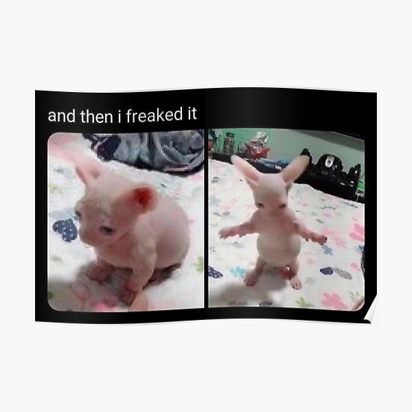 "And Then I Freaked It Meme" Poster for Sale by vennettb | Redbubble