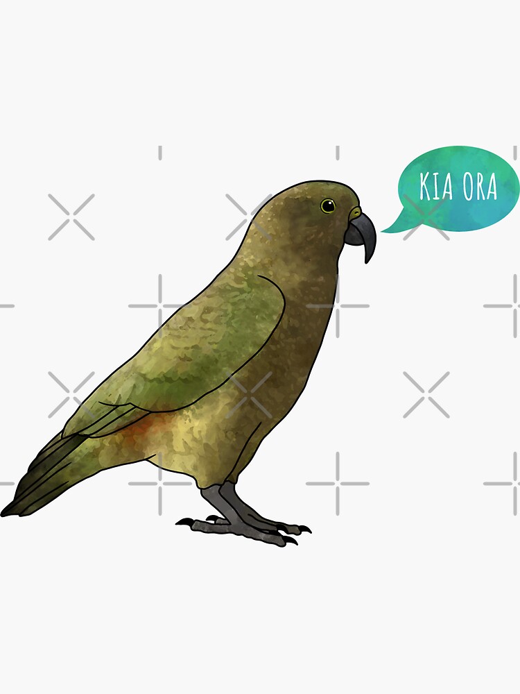 "Kea kia ora" Sticker for Sale by Meowmaddie | Redbubble