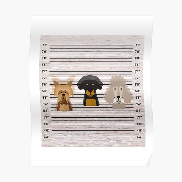 "suspects" Poster for Sale by Lubafi1 | Redbubble