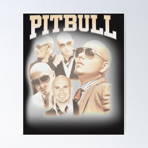 Pitbull The Singer Wallpapers