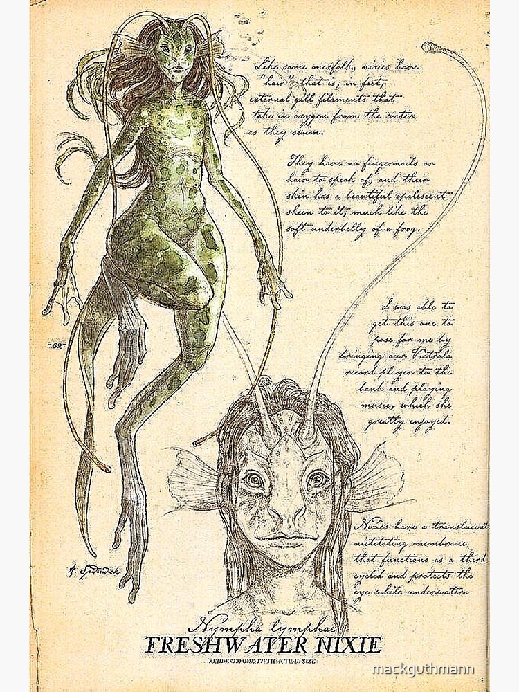 "freshwater nixie" Poster for Sale by mackguthmann | Redbubble