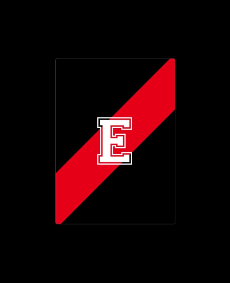 "Don The Sash - Essendon Classic " iPad Case & Skin for Sale by ...