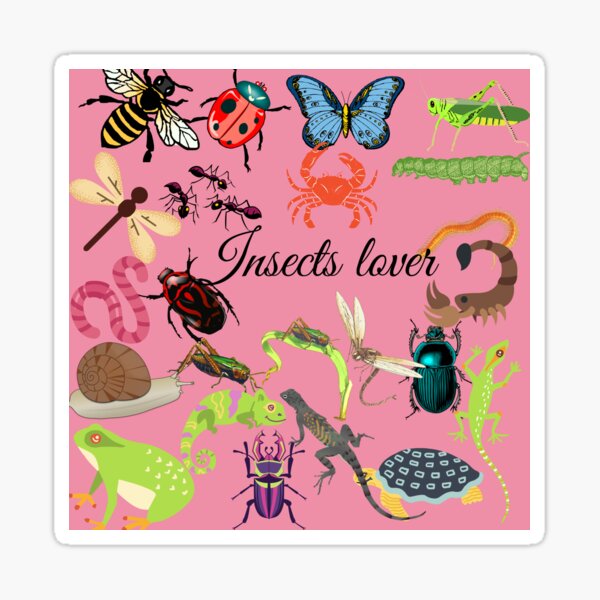 "insects collection and text,entomologist,insects lovers" Sticker for ...