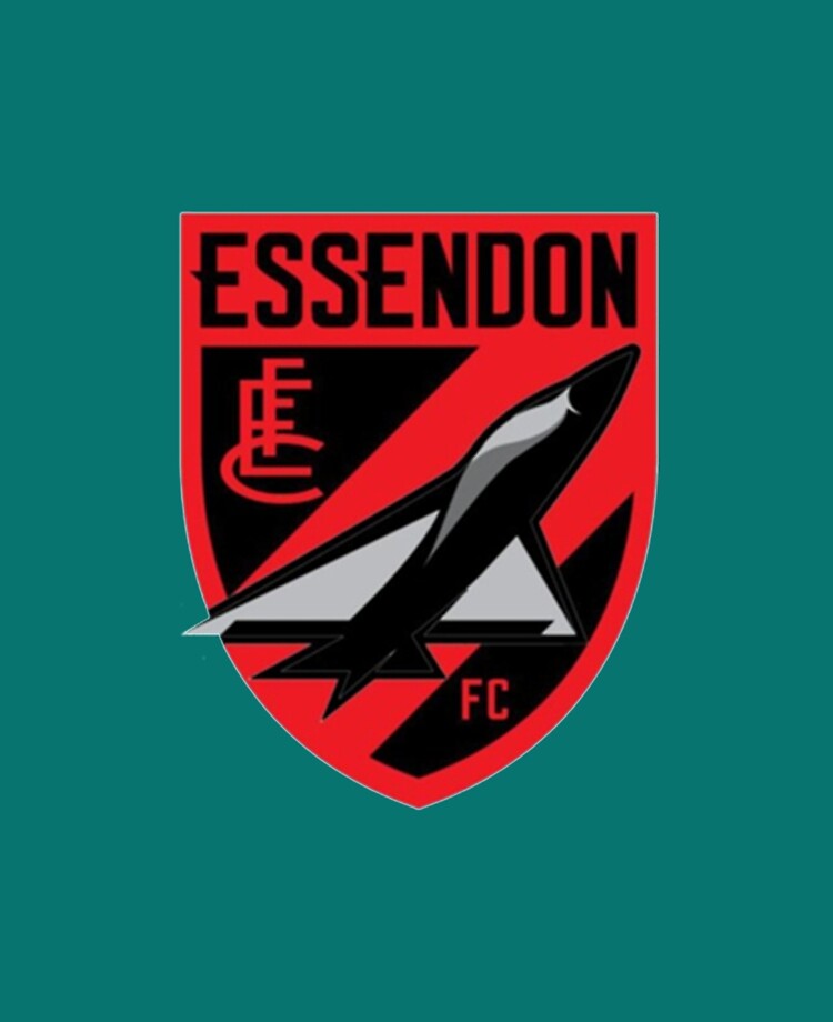"Essendon Football Club Classic " iPad Case & Skin for Sale by ...