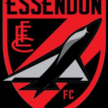 "Essendon Football Club Classic " iPad Case & Skin for Sale by ...