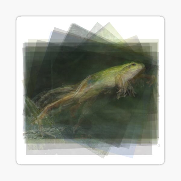 "Leaping Frog" Sticker for Sale by overlay-art | Redbubble