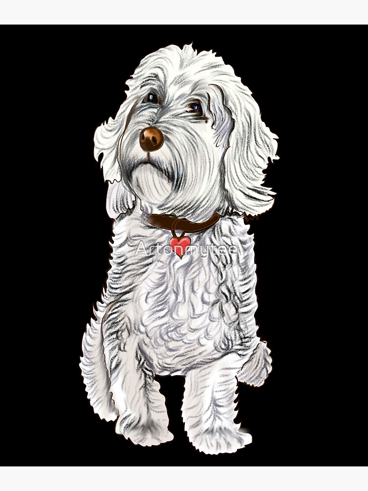 Póster «Cavapoo Cavoodle Cavapoochon Blanco Monocromo - Lindo Cavalier ...