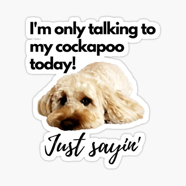 "I'm only talking to my cockapoo today!" Sticker for Sale by Dog-On ...