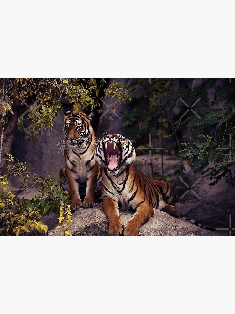 "two tiger, screaming tiger" Poster by hottehue | Redbubble