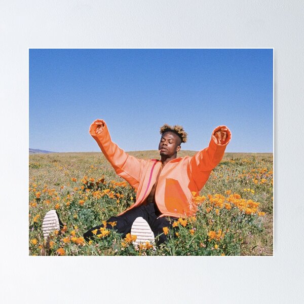 "Tobi Lou" Poster for Sale by reemagatha | Redbubble