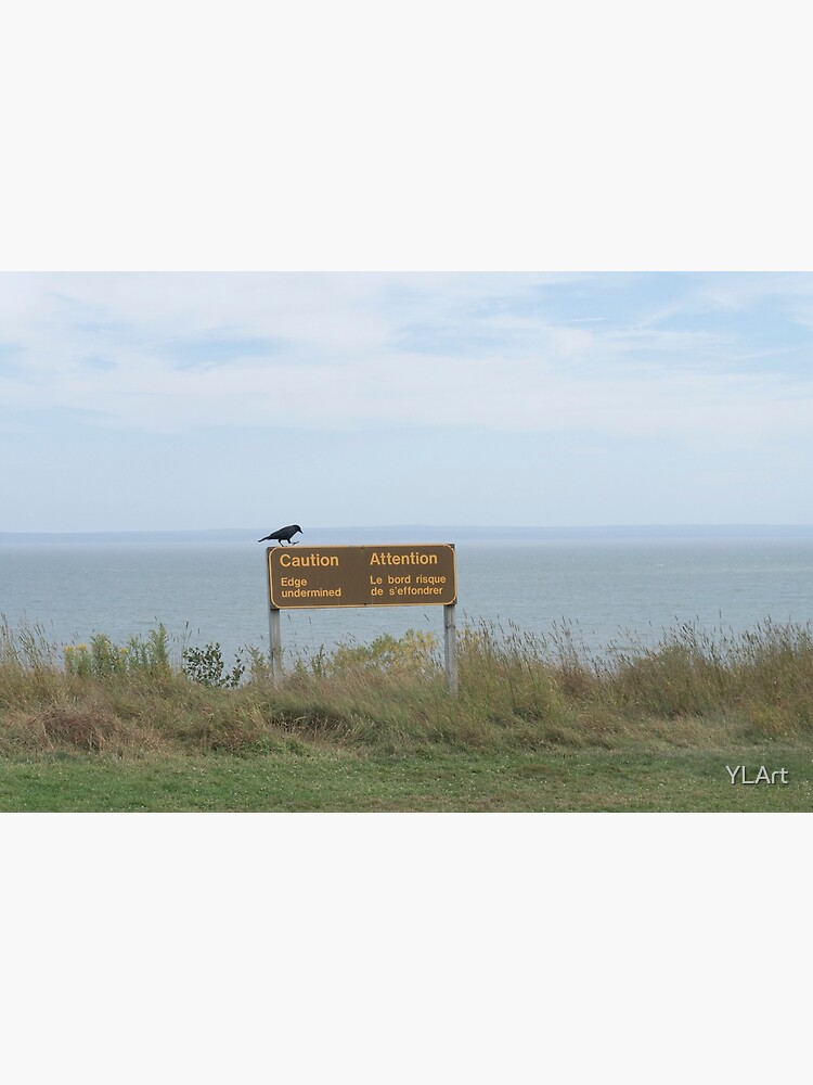 "Caution (American black crow on caution sign)" Poster by YLArt | Redbubble