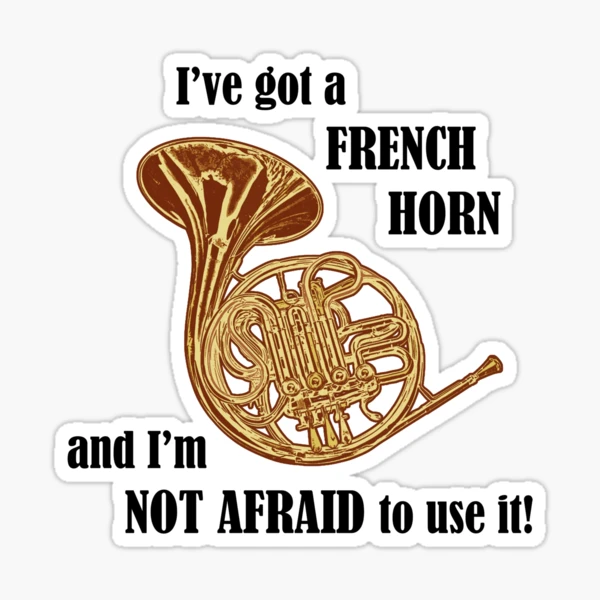 French Horn Quotes How To Play The French Horn (with Pictures)