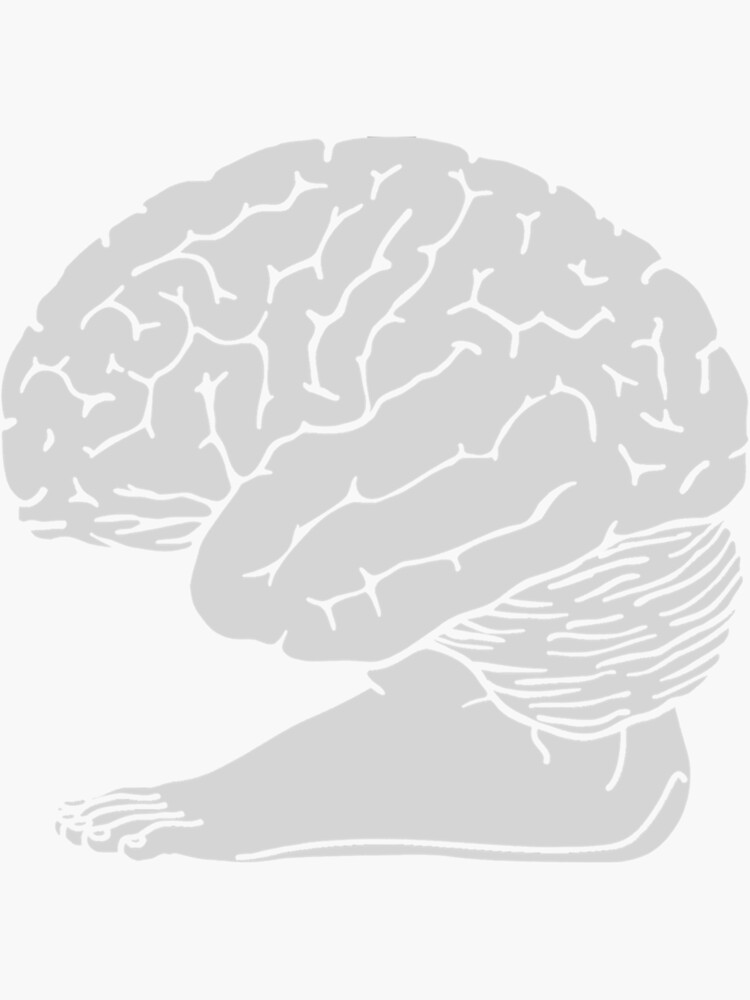 "Braindance Logo Classic " Sticker for Sale by ExtraAvenue | Redbubble