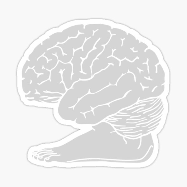 "Braindance Logo Classic " Sticker for Sale by ExtraAvenue | Redbubble