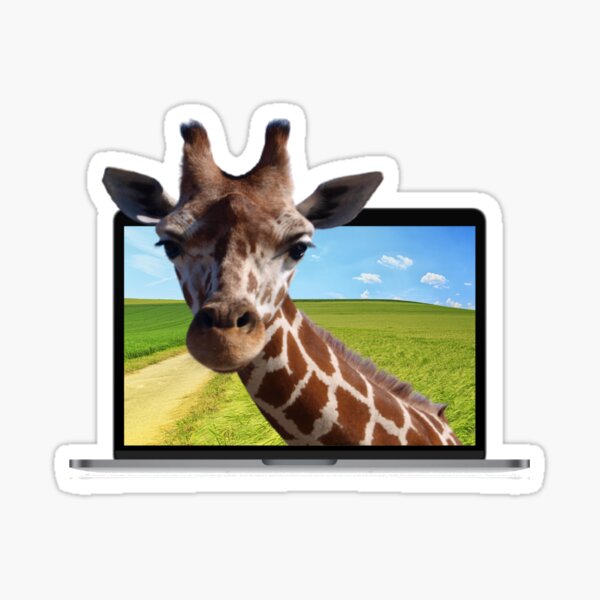 "Giraffe peeping through laptop funny illusion " Sticker for Sale by ...