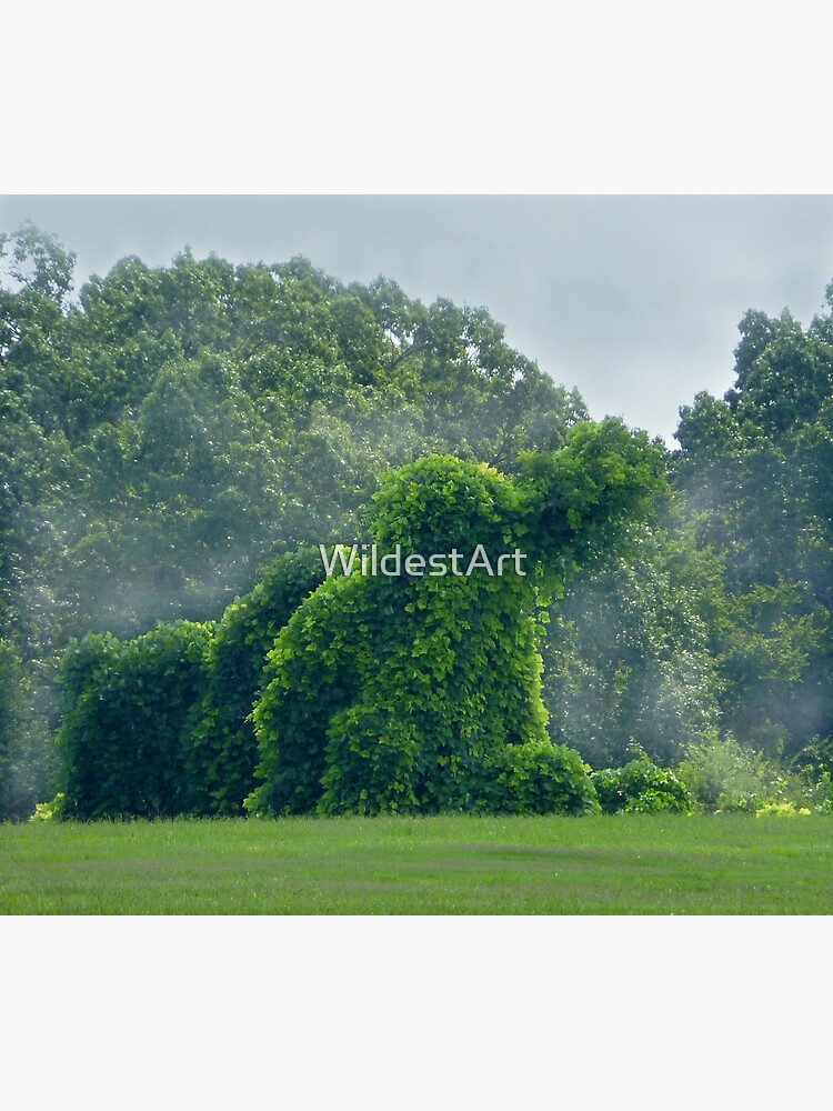 "The Giant Kudzu Monster" Poster by WildestArt | Redbubble