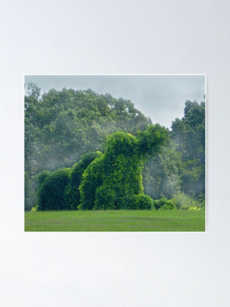 "The Giant Kudzu Monster" Poster by WildestArt | Redbubble