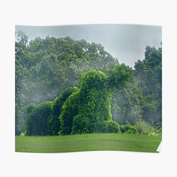 "The Giant Kudzu Monster" Poster by WildestArt | Redbubble