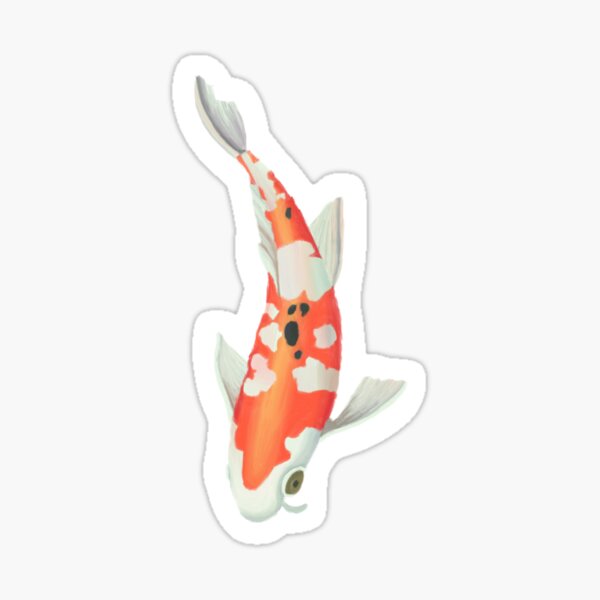 "Koi sticker" Sticker for Sale by tired-eel23 | Redbubble
