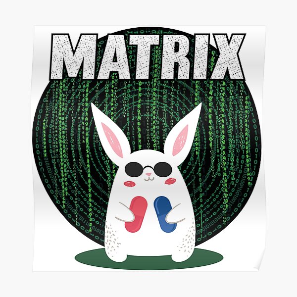 "Matrix...make your chose" Poster for Sale by hitpointer | Redbubble