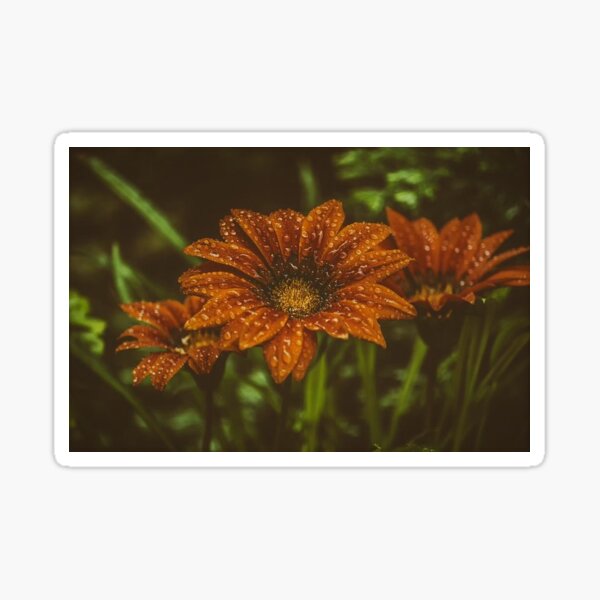 "Orange Flowers" Sticker for Sale by Marl401 | Redbubble