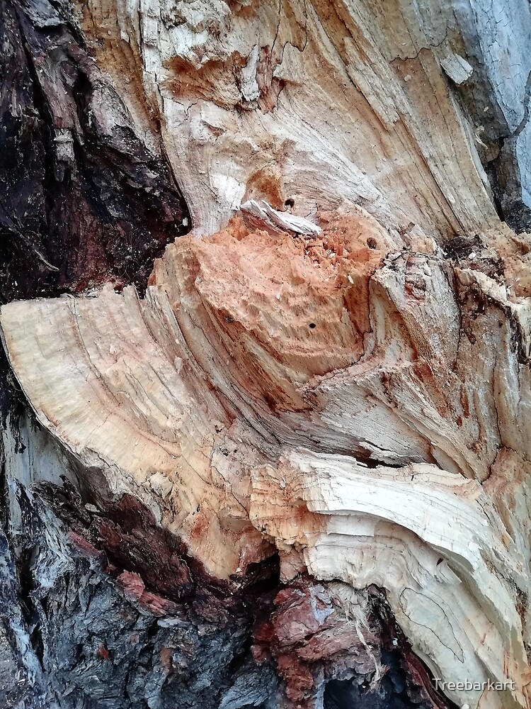 "Light Blue Tree Series. Break. " Photographic Print by Treebarkart ...