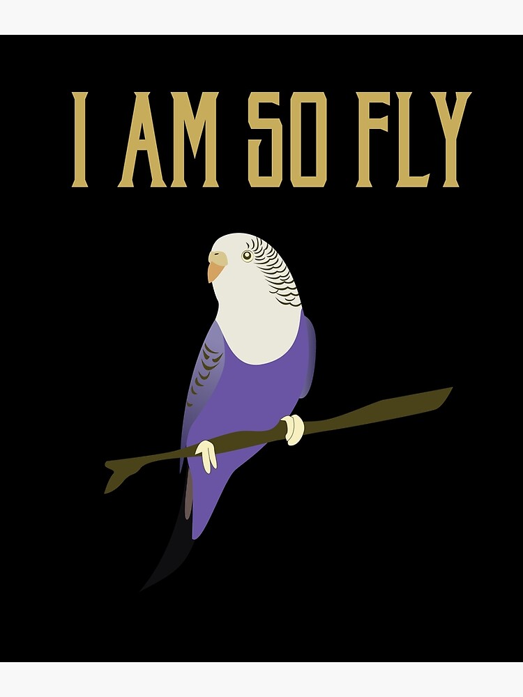 "I am so Fly Retro Vintage Budgie Lover Budgerigar Parakeet " Poster ...