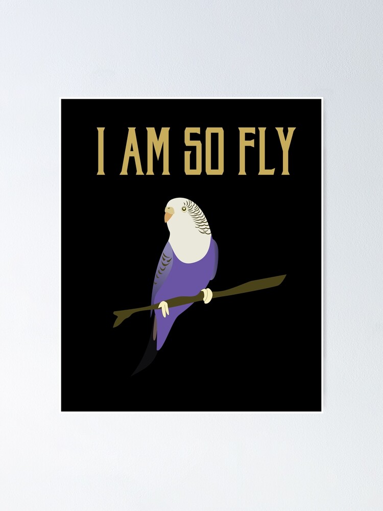 "I am so Fly Retro Vintage Budgie Lover Budgerigar Parakeet " Poster ...
