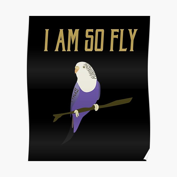 "I am so Fly Retro Vintage Budgie Lover Budgerigar Parakeet " Poster ...