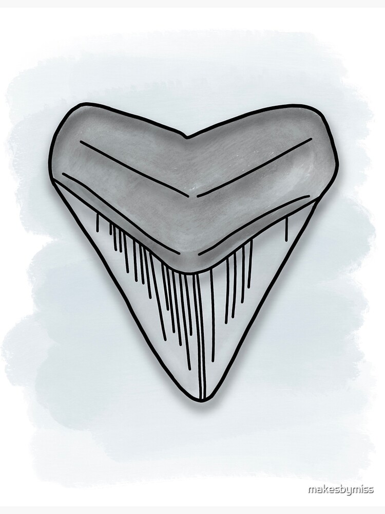"Shark Tooth Simple Line Drawing" Poster for Sale by makesbymiss ...