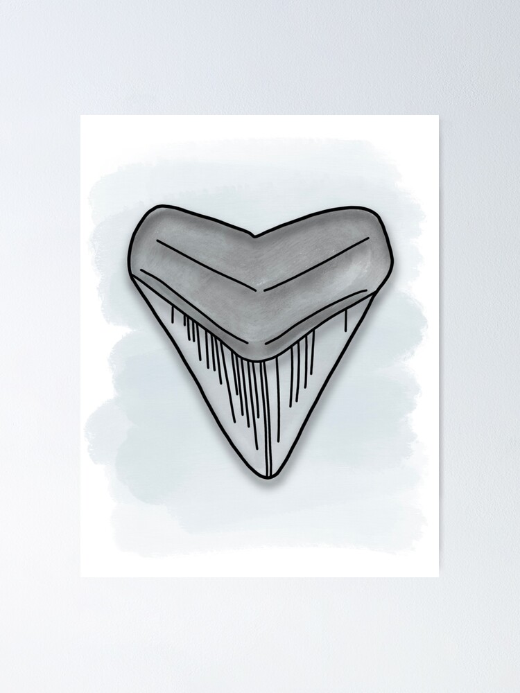 "Shark Tooth Simple Line Drawing" Poster for Sale by makesbymiss ...
