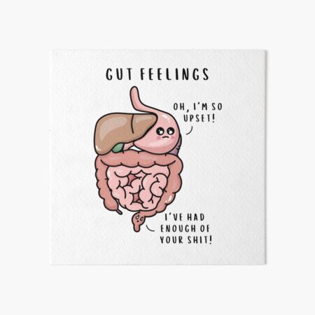 "Digestive System Pun | Science Pun, Anatomy, Medical, Funny Science ...